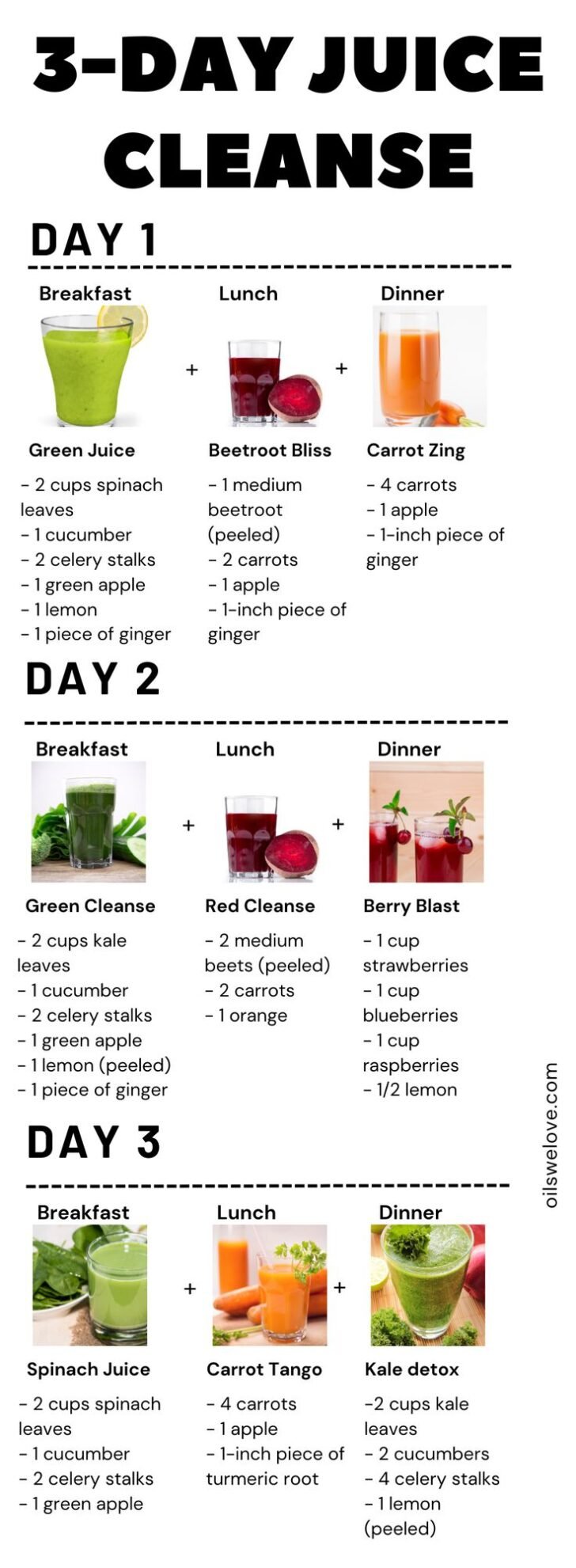 The Ultimate Guide to a 3-Day Juice Cleanse – Oils We Love